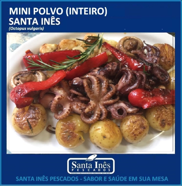 MINI POLVO - INTEIRO (CAIXA COM 20 KILOS)