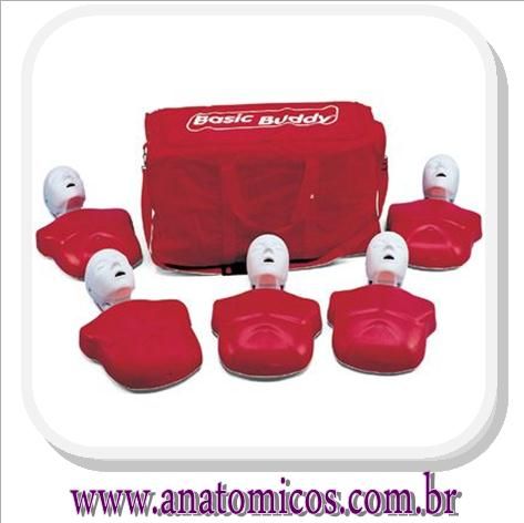 RCP KIT - Simulador Econômico Medidas de RCP Dois em Um – Adulto ...