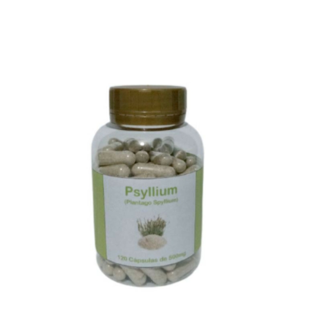 Psyllium fibra completa 500mg 120 cápsulas